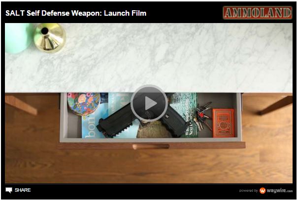 What’s the SALT Pistol? - LewRockwell