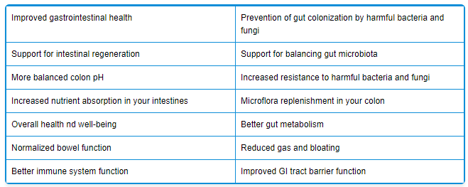 Dirt Doesn’t Hurt - LewRockwell