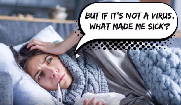 Why Do We Get Sick? - LRC Blog