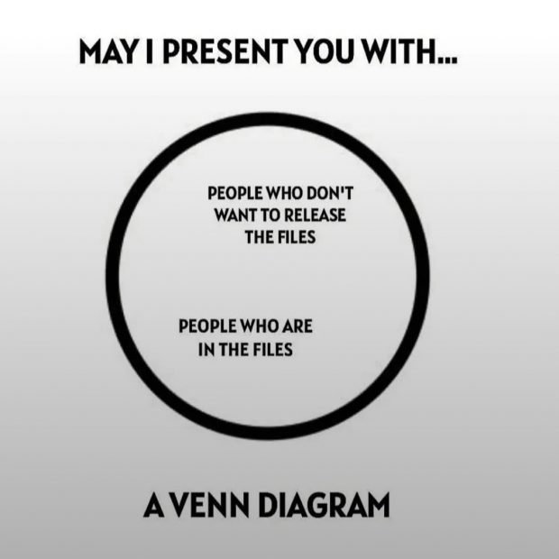 Most accurate Epstein Venn diagram - LewRockwell